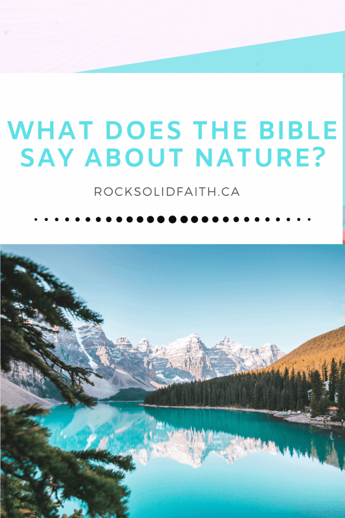 7 Beautiful Bible Verses About Nature