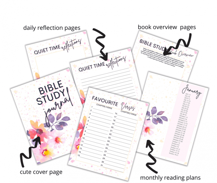 Bible Reading Challenge - Rock Solid Faith